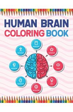 Human Brain Coloring Book: The Human Brain Coloring Book. Human Brain ...