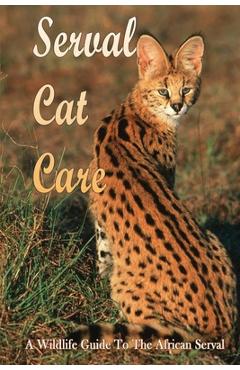 Serval Cat Care: A Wildlife Guide To The African Serval: Facts About ...