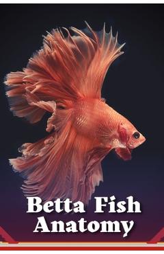Betta Fish Anatomy: Understanding the Betta Fish Anatomy - Jason ...