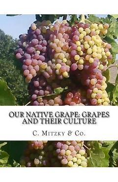 Our Native Grape: Grapes and Their Culture: A List of Old and New Grape ...
