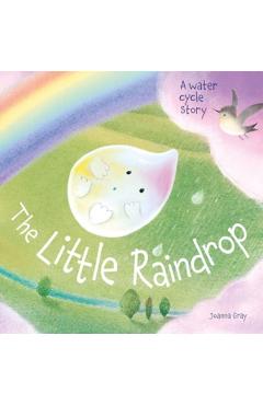 The Little Raindrop - A water cycle story - Joanna Gray - 9781835552285 ...